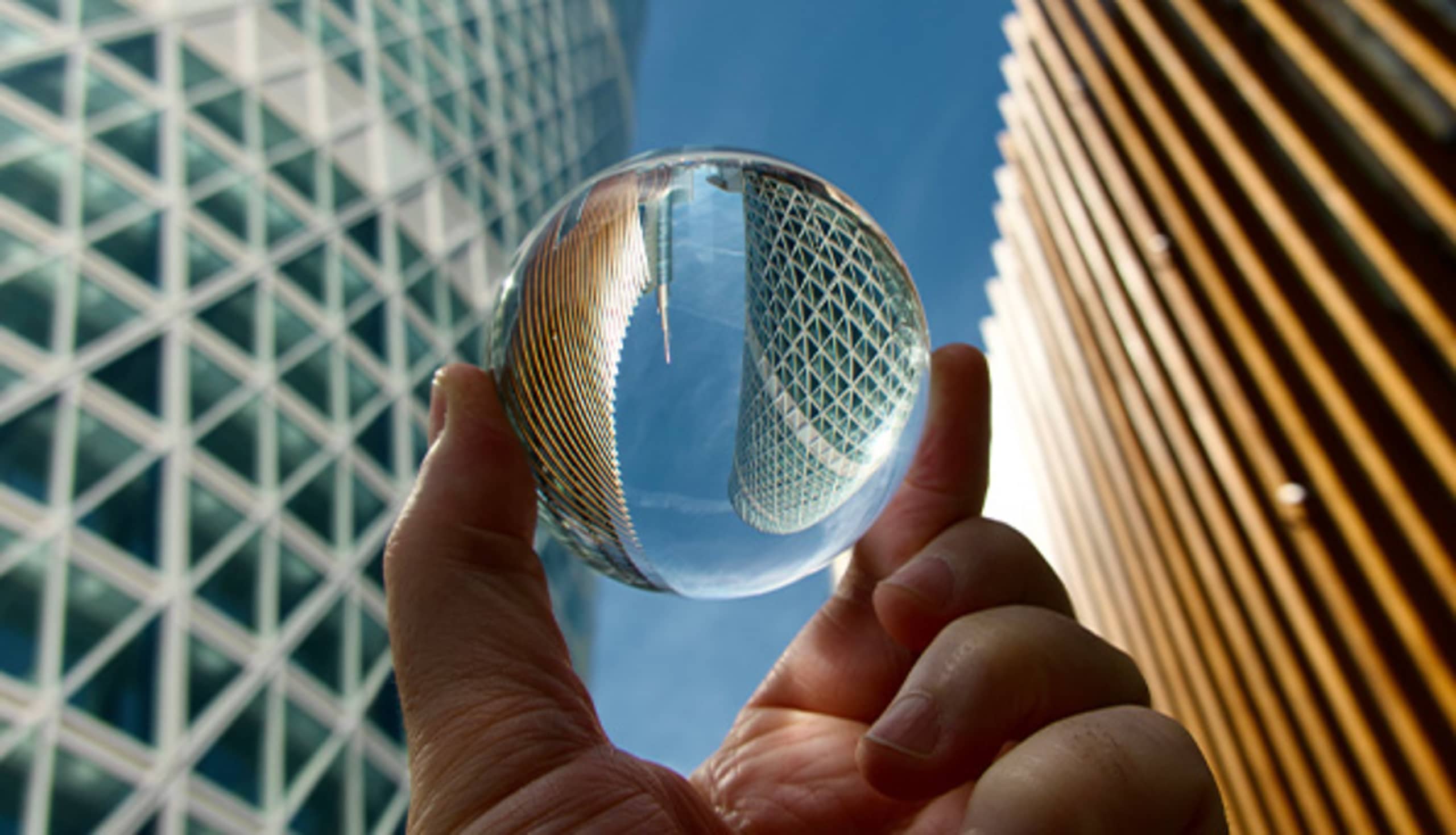 Lessons from the Oracle | Avantis Investors